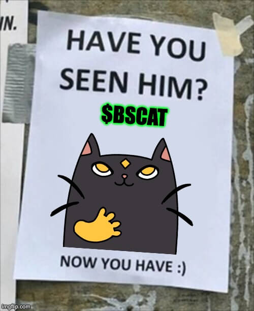 $BSCAT